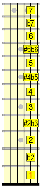 Master the Guitar Fretboard in 7 Lessons
